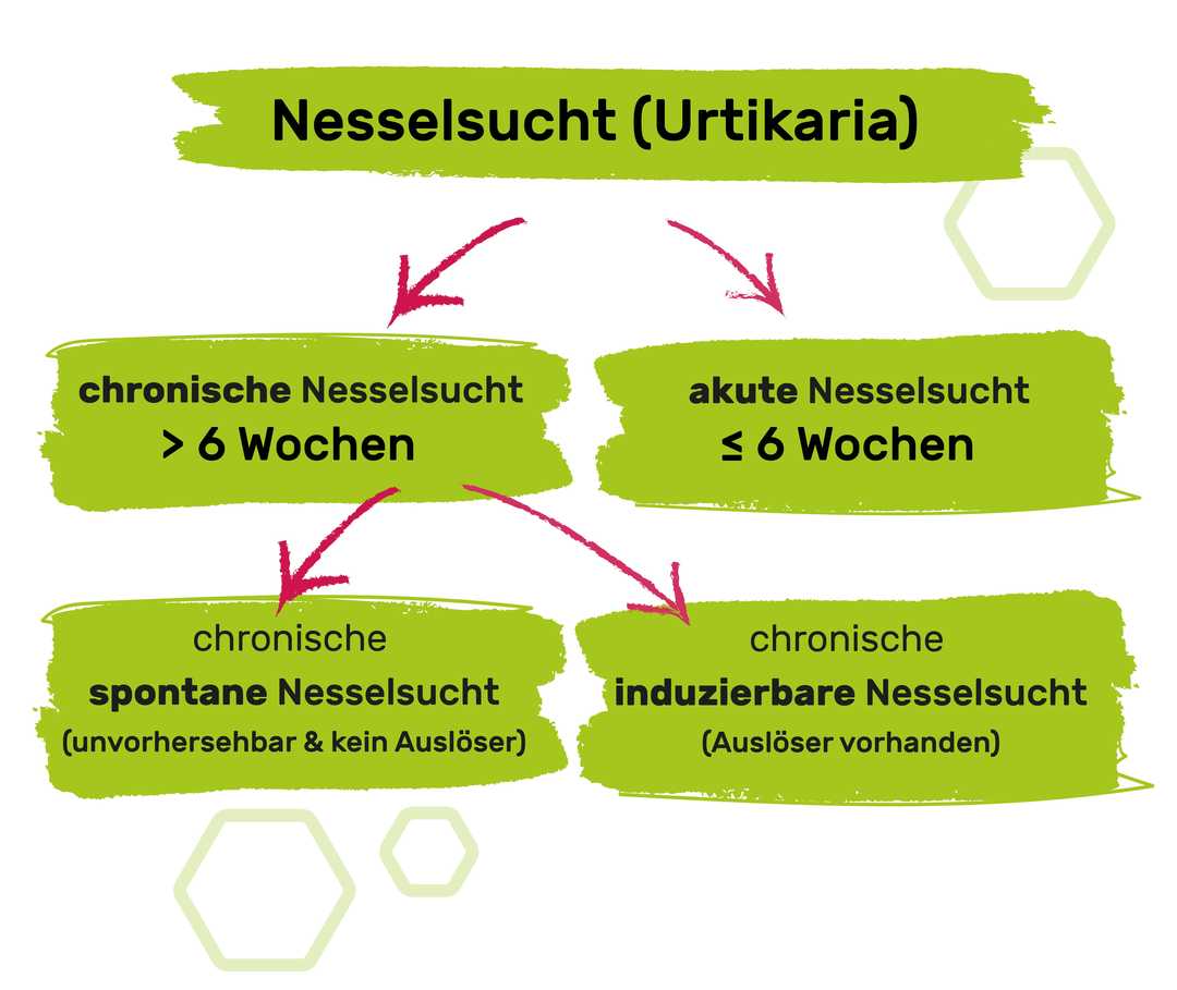 Nesselsucht-Formen – So zeigt sich Urtikaria | nesselsuchtinfo.de